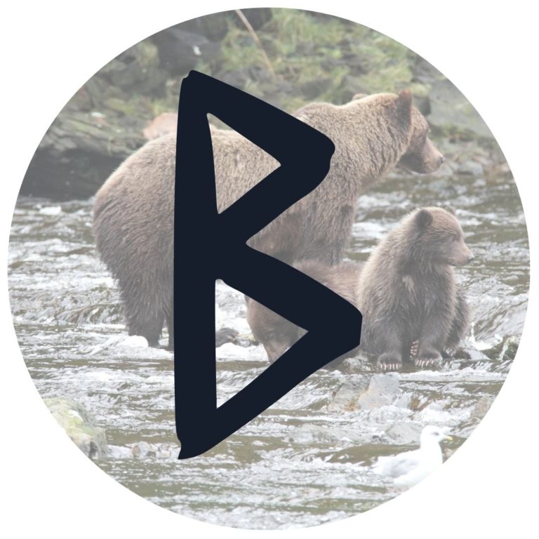 berkano rune meaning - The Wicked Griffin