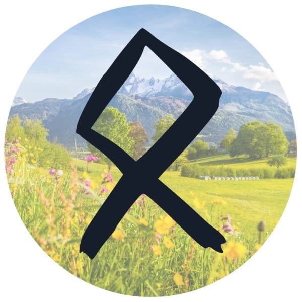 Othala Rune Meaning - The Wicked Griffin