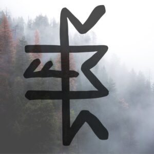 20 Norse Bind Runes for the Modern Viking - The Wicked Griffin