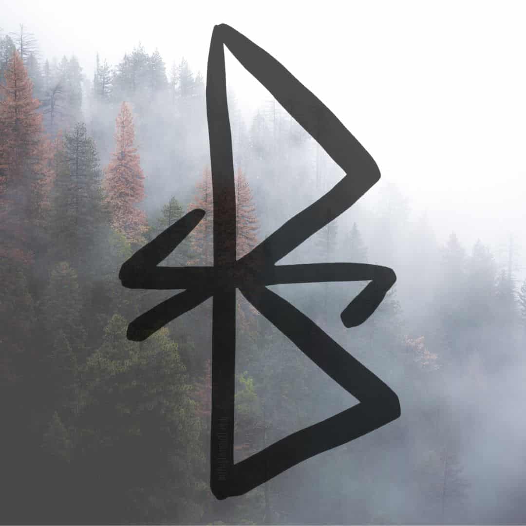 20 Norse Bind Runes for the Modern Viking - The Wicked Griffin