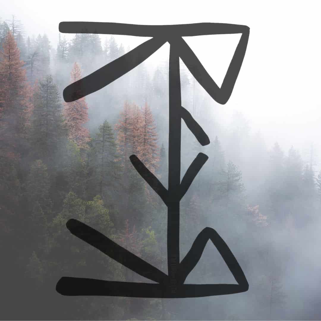 20 Norse Bind Runes for the Modern Viking - The Wicked Griffin