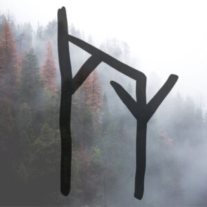 20 Norse Bind Runes for the Modern Viking - The Wicked Griffin