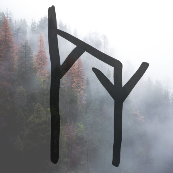 20 Norse Bind Runes for the Modern Viking - The Wicked Griffin