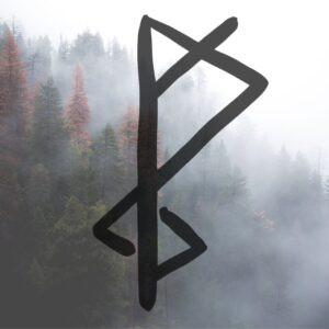 20 Norse Bind Runes for the Modern Viking - The Wicked Griffin