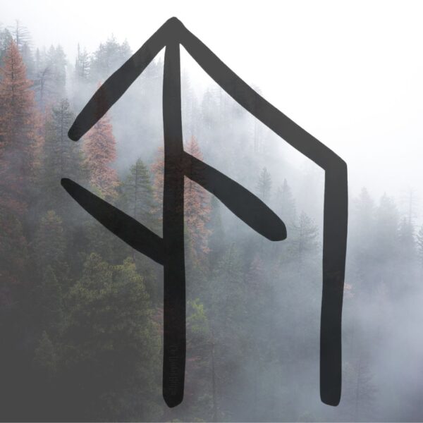 20 Norse Bind Runes for the Modern Viking - The Wicked Griffin