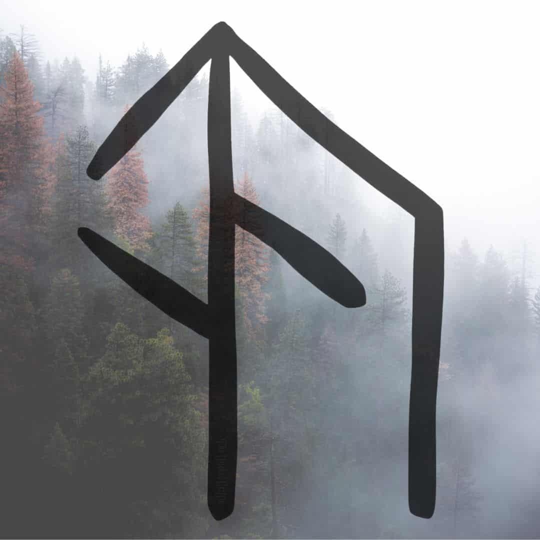 20 Norse Bind Runes for the Modern Viking - The Wicked Griffin