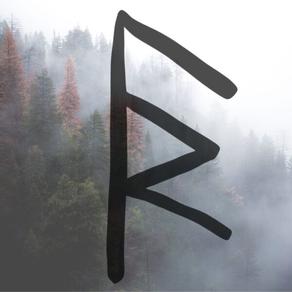 20 Norse Bind Runes for the Modern Viking - The Wicked Griffin