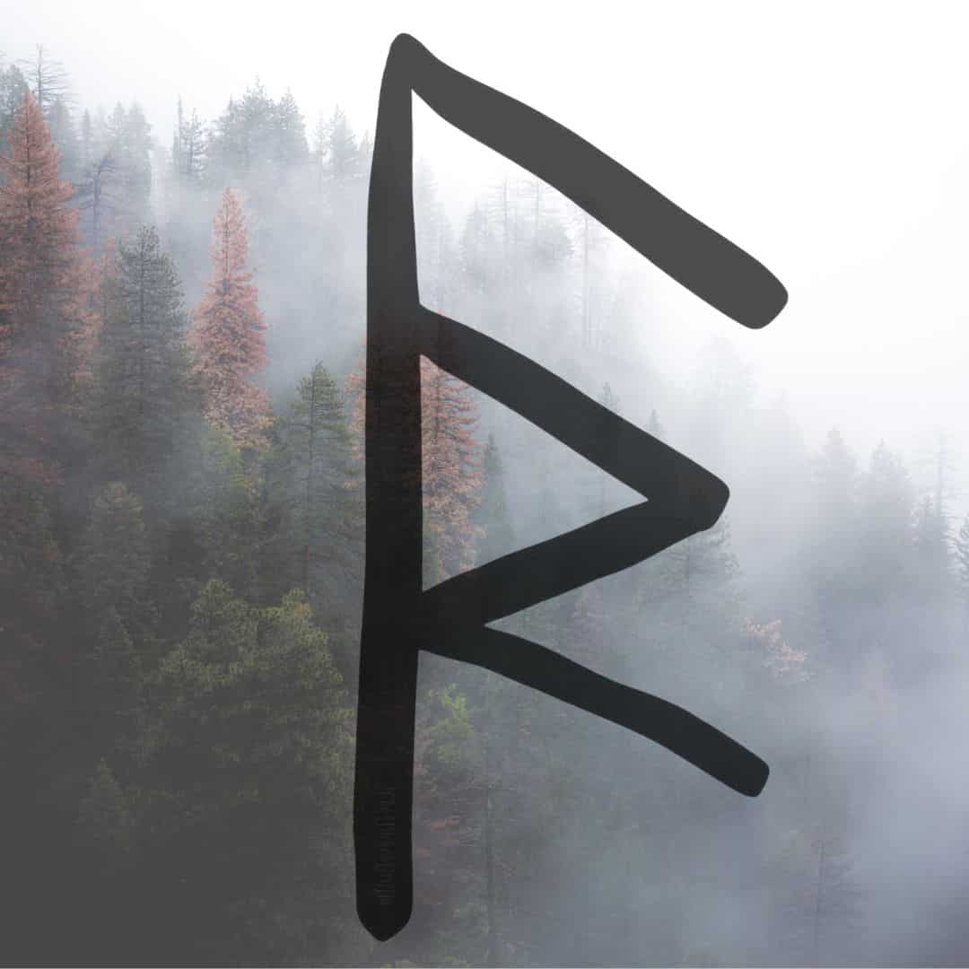 20 Norse Bind Runes for the Modern Viking - The Wicked Griffin