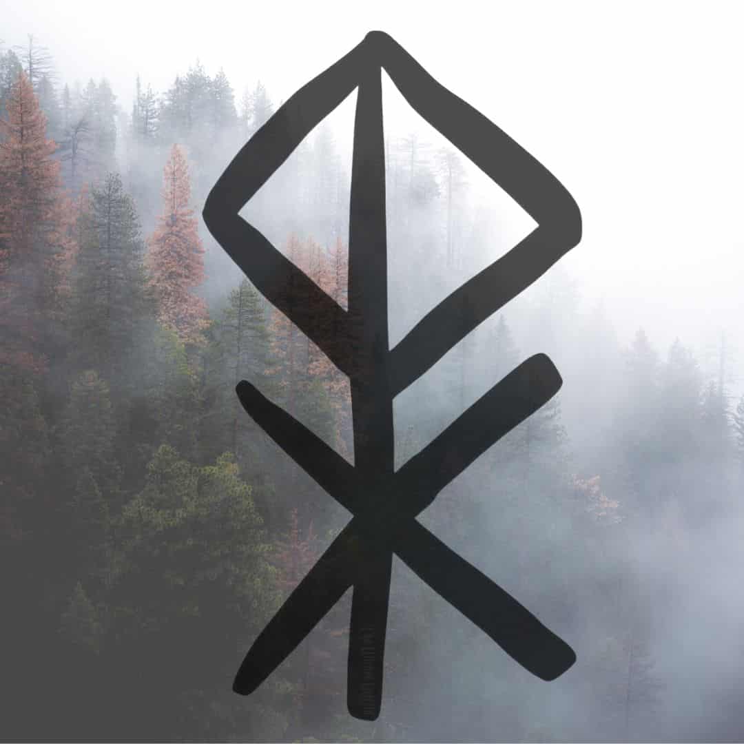 20 Norse Bind Runes for the Modern Viking - The Wicked Griffin