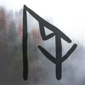 20 Norse Bind Runes for the Modern Viking - The Wicked Griffin