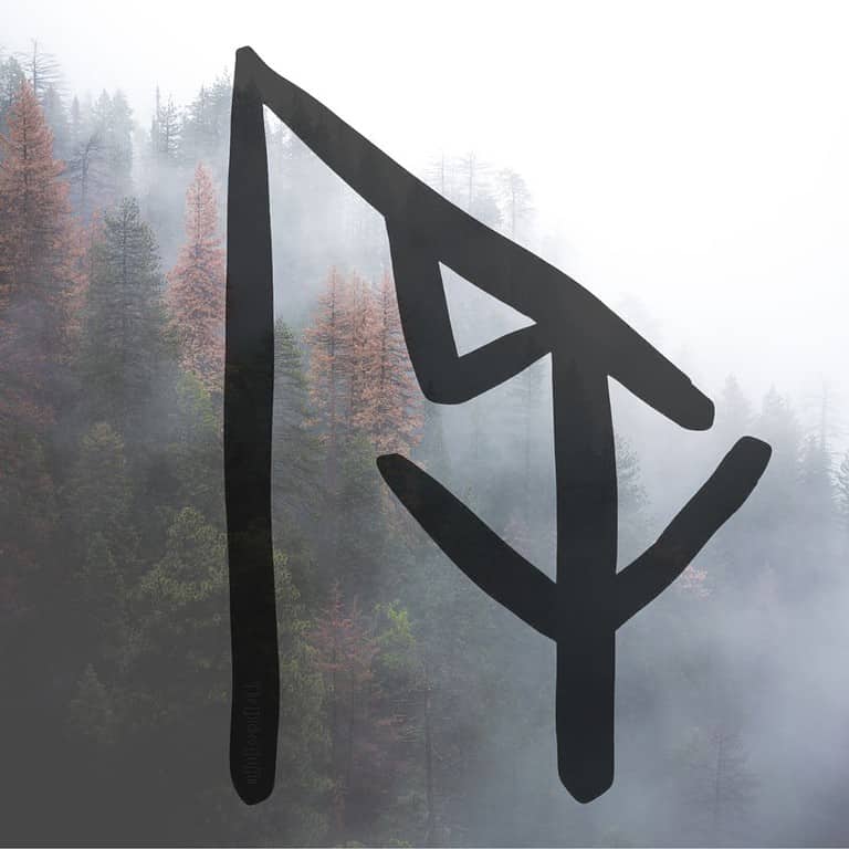 20 Norse Bind Runes for the Modern Viking - The Wicked Griffin