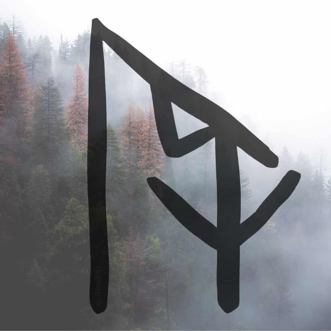 20 Norse Bind Runes for the Modern Viking - The Wicked Griffin