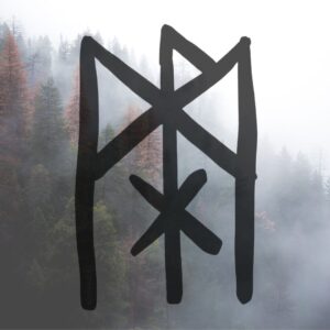 20 Norse Bind Runes for the Modern Viking - The Wicked Griffin