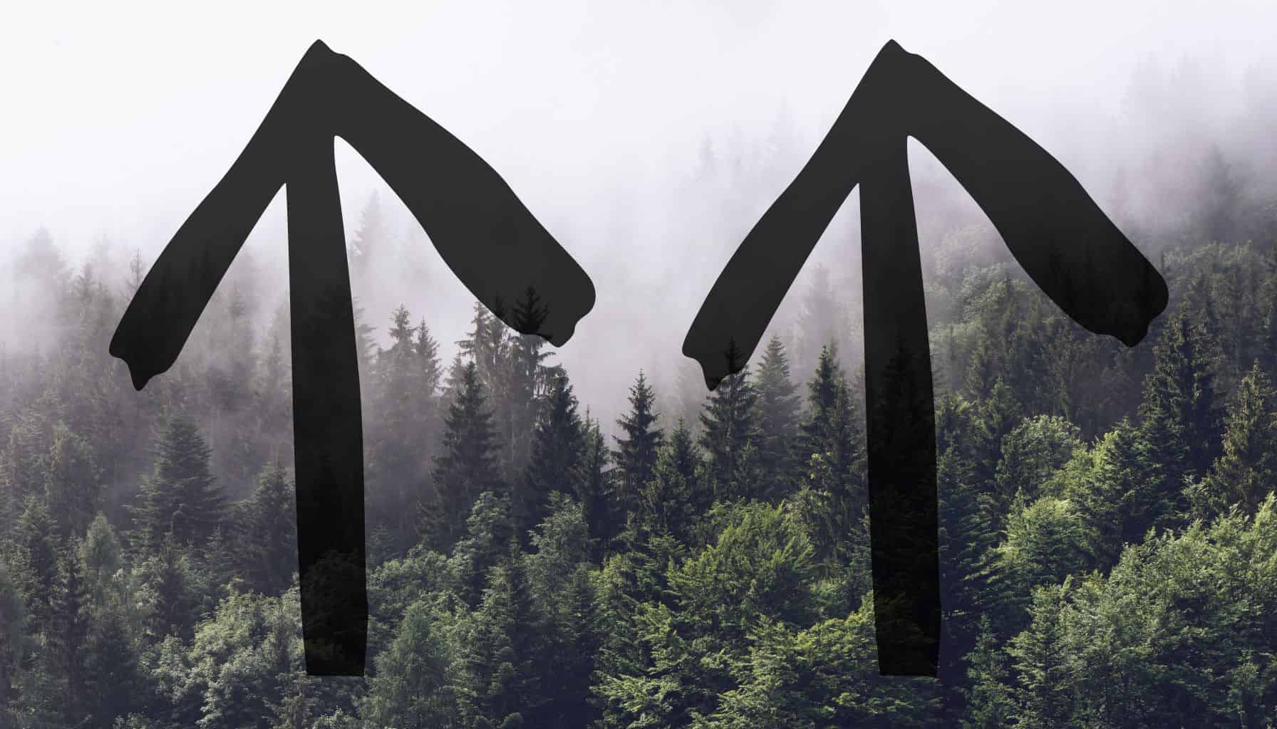 Tiwaz & Tyr: Unveiling the God of War in Norse Mythology - The Wicked ...